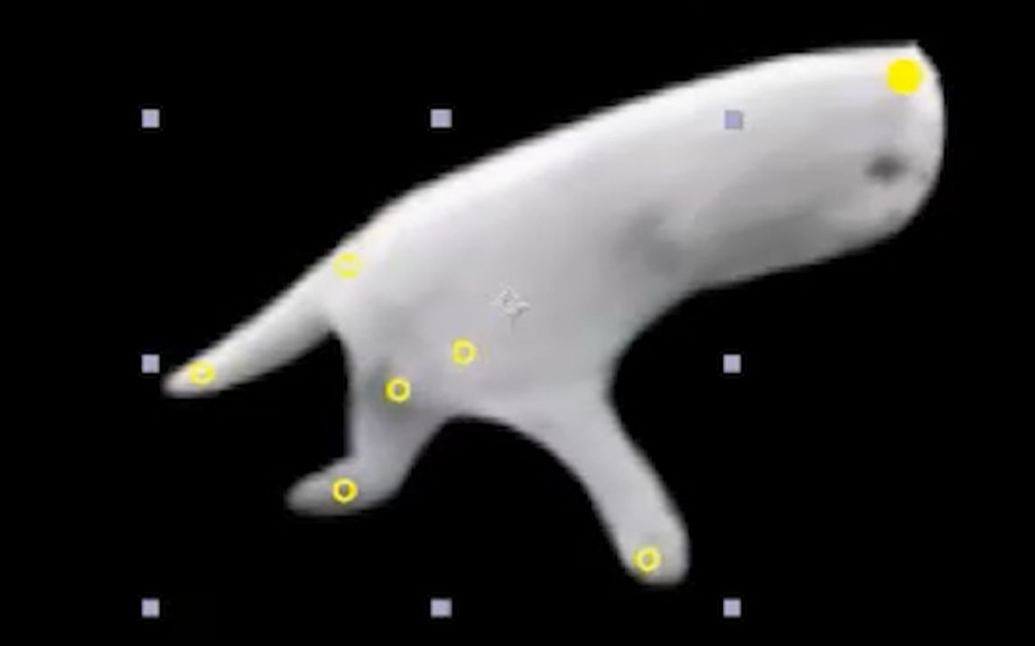 学动画300年成果展示