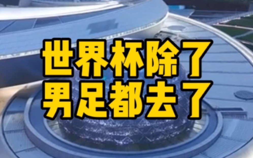 除了男足,世界杯都去了