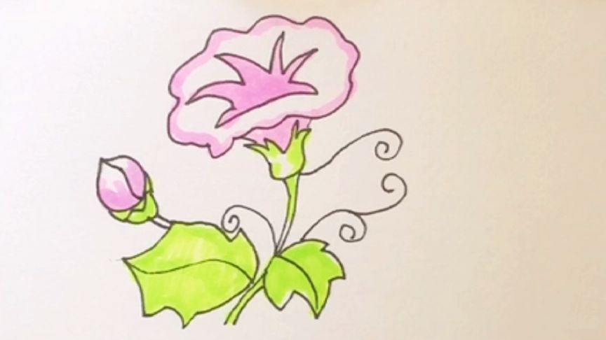 花卉系列美术绘画教程,喇叭花简笔画,结构简单又有艺术感