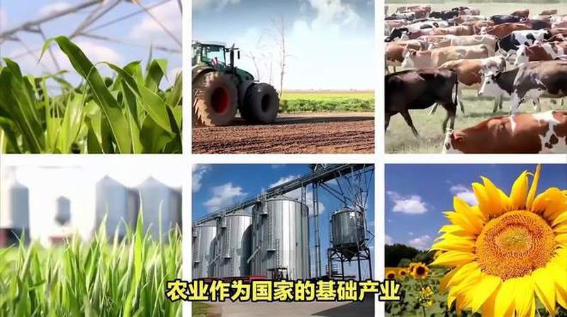 农业的重要性体现在哪些方面