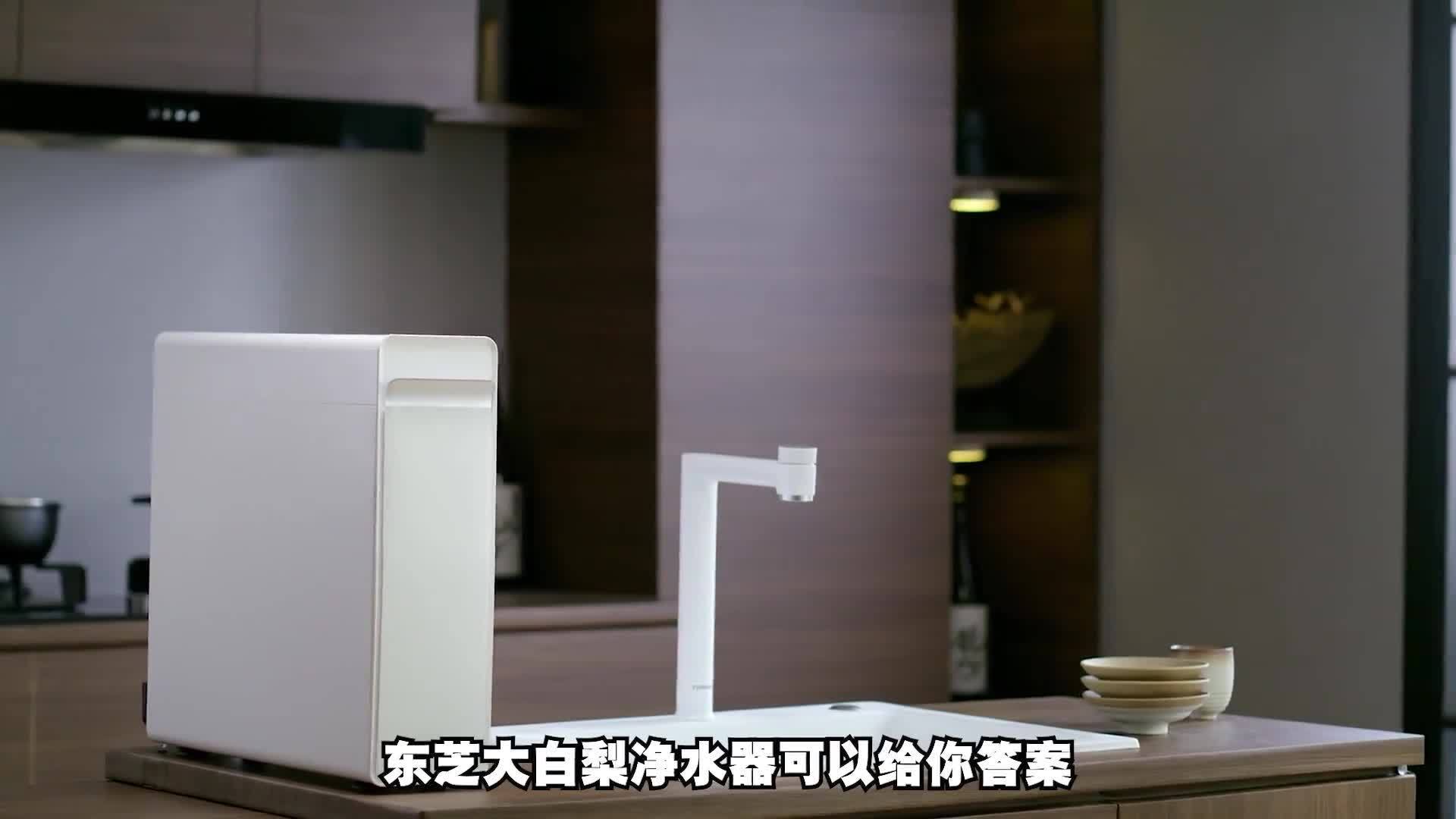 有RO反渗透滤芯的净水器就能把水过滤干净吗?#东芝大白梨 #东芝大.