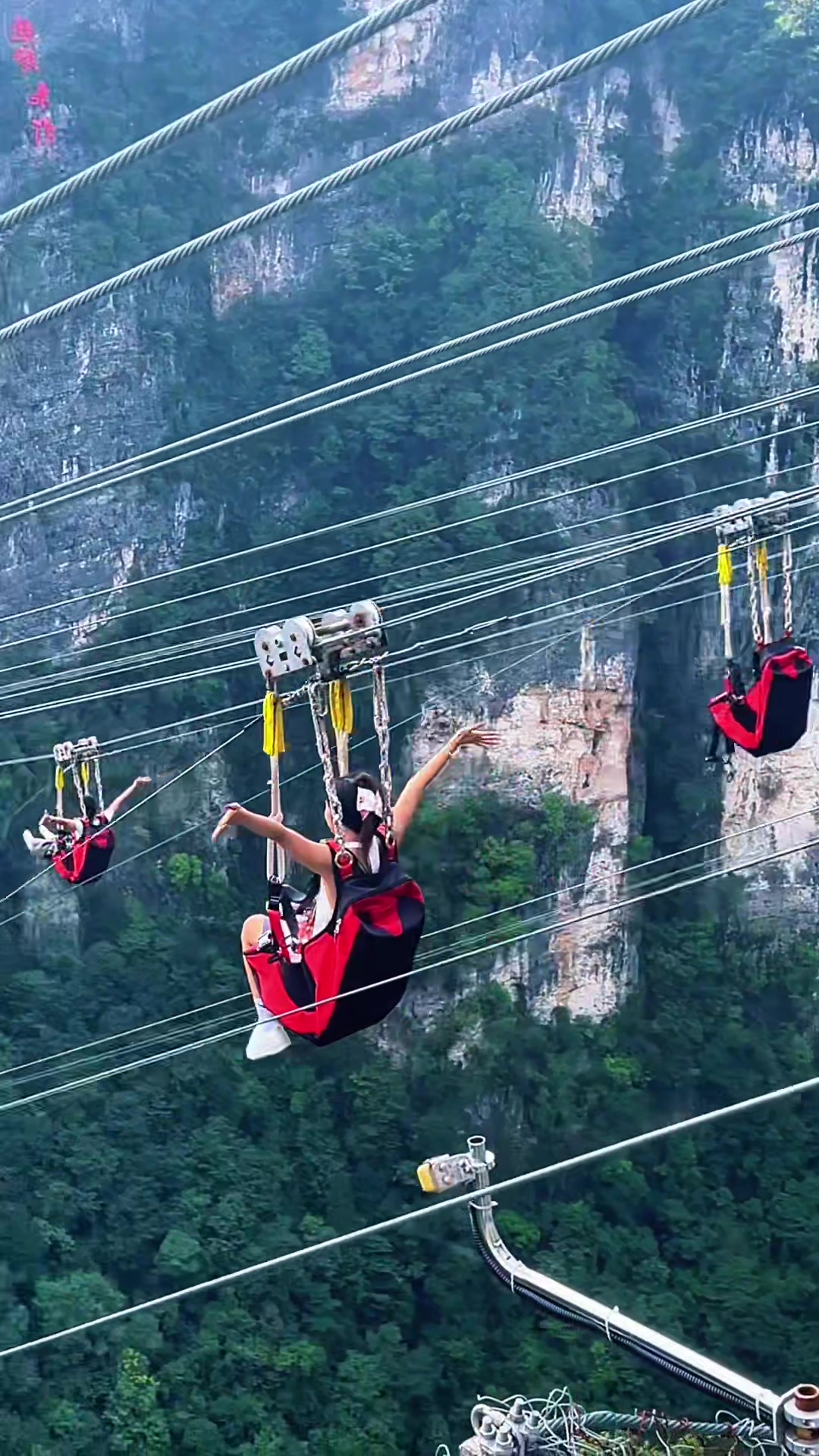 音乐一响,自由飞翔 #高空滑索 #张家界大峡谷玻璃桥#亲子游玩好去处 ...