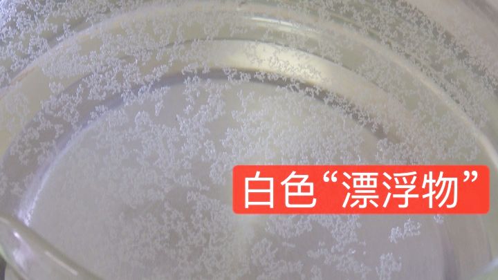 烧开水后水中白色“漂浮物”是什么?专家妙招去除