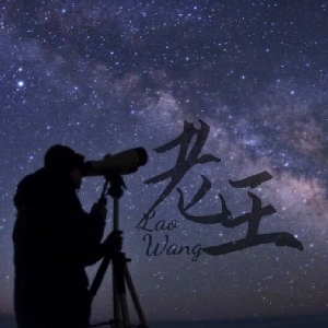 老王头科普 