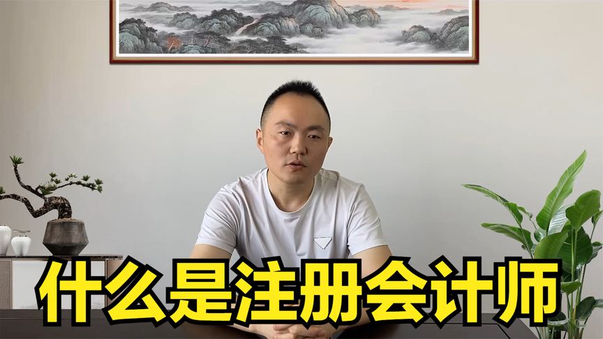 什么是注册会计师