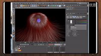 【C4D教程】软件基础操作第一节