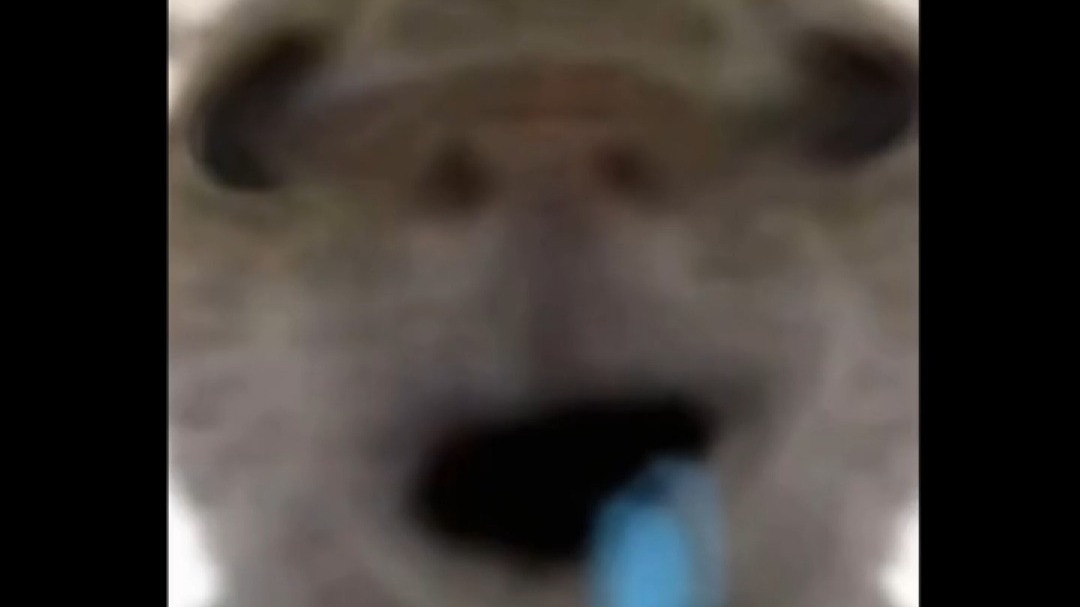 【红包口令】红包多到有点烦,谁来帮我花一点