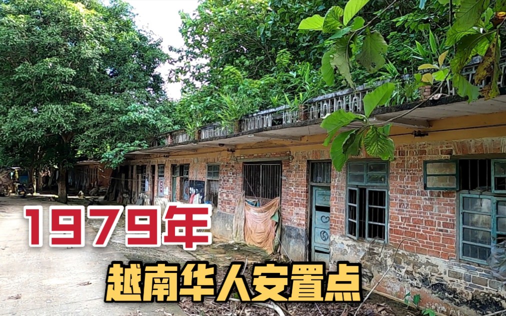 1979年,一个特殊的年份,大量越南华人回国,一部分被安置在这里