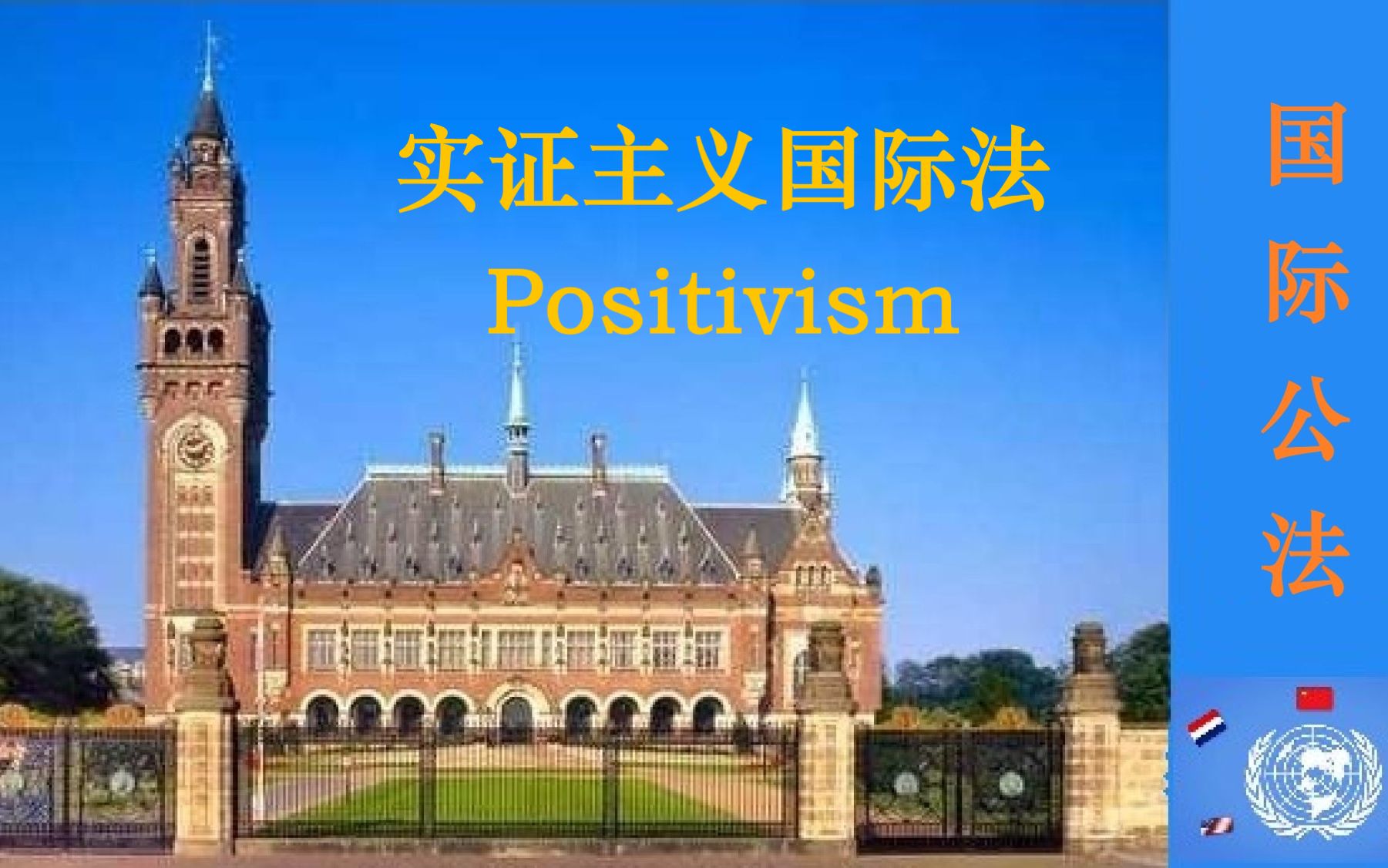 LAW法律-实证主义国际法Positivism