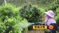掌握微肥使用4要领、4注意,可事半功倍