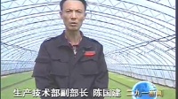 生产技术部为水稻种植户指导水稻苗期管理相关知识cap03