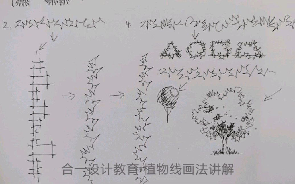 建筑景观配景植物线手绘画法讲解(视频教程)-合一设计教育