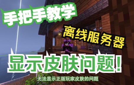 【干货】手把手教你如何在离线服务器显示皮肤
