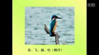 妙用动词 写活动物(习作微课 吴湘慈)