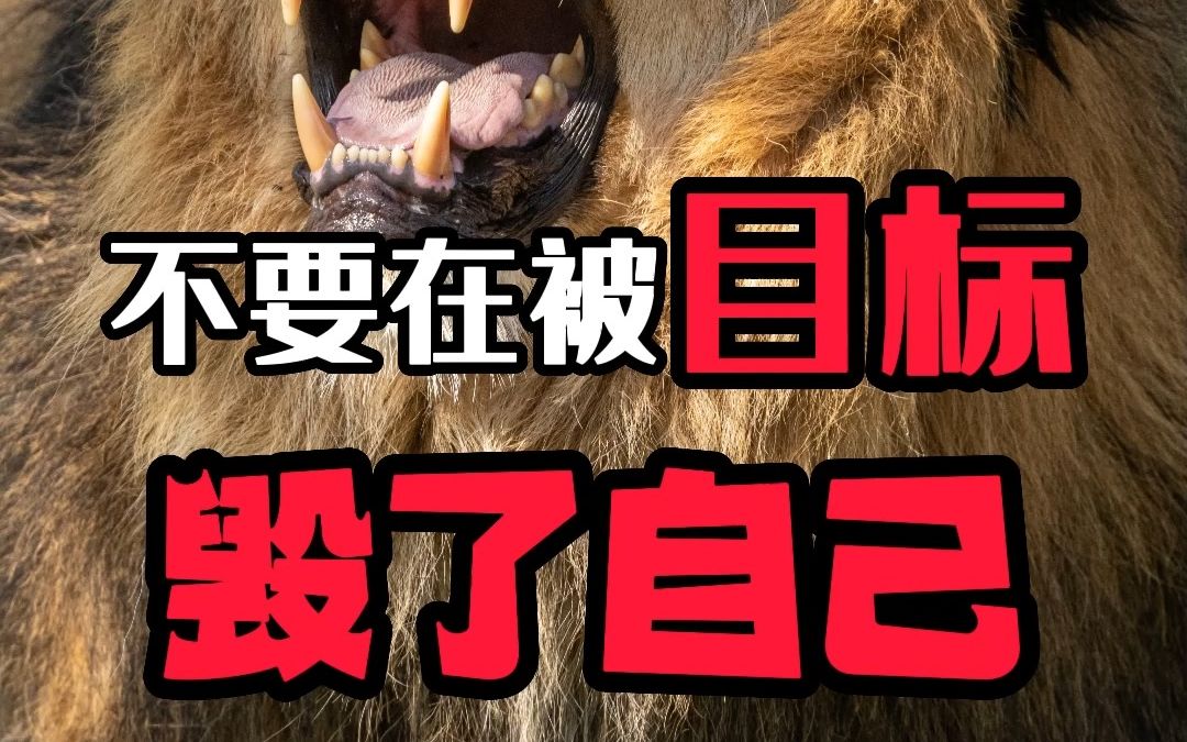 ...目标毁了自己,不要错误的理解目标 如何科学的制定目标 #目标 #目标...