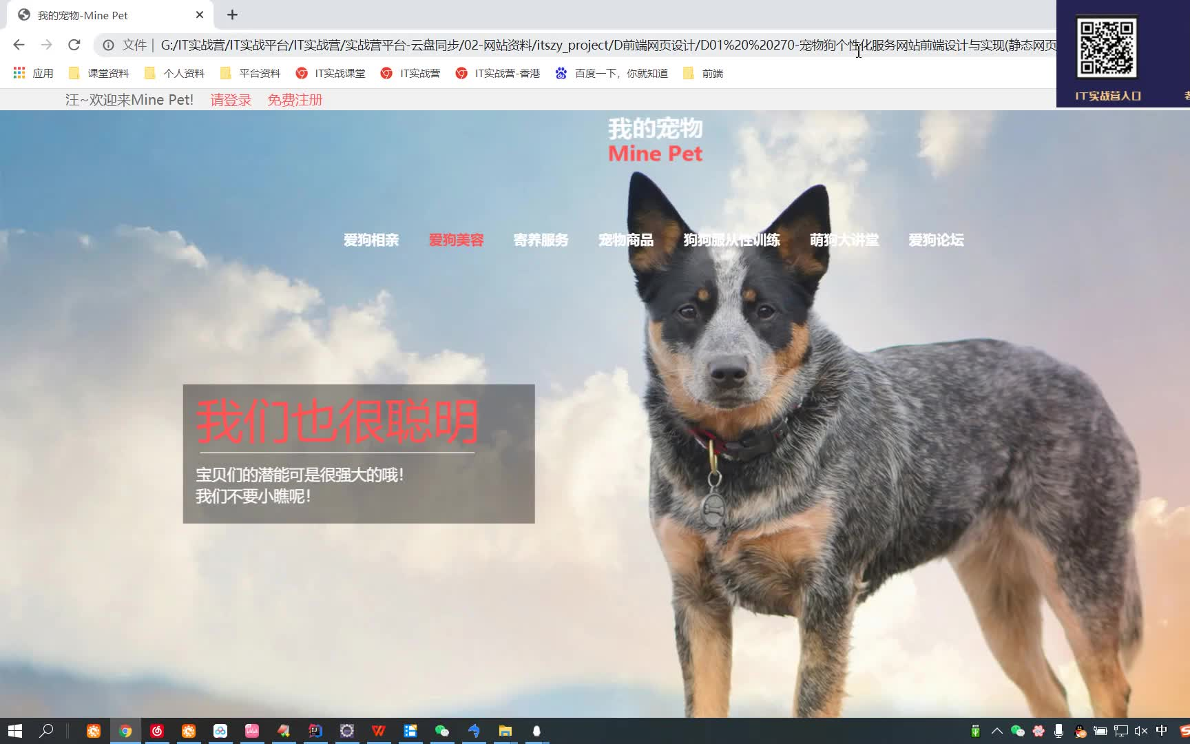 计算机毕业设计项目-宠物狗个性化服务网站前端设计与实现(静态网页)...