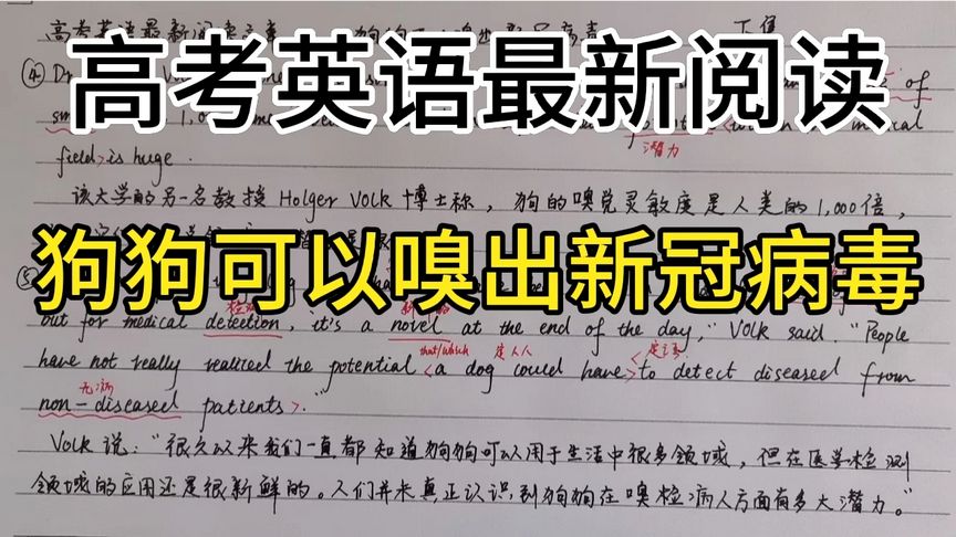 高考英语最新阅读:狗狗可以嗅出新冠病毒下集