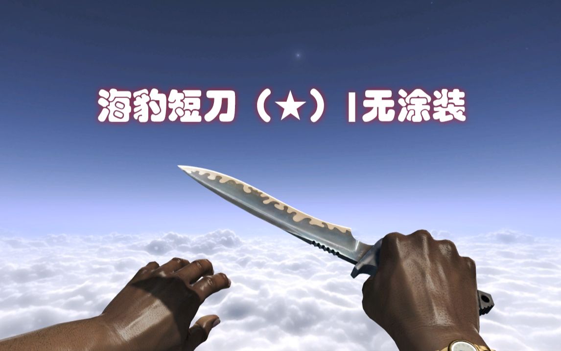 【CSGO】经典冷饭 海豹短刀全检视【1080P 60FPS】
