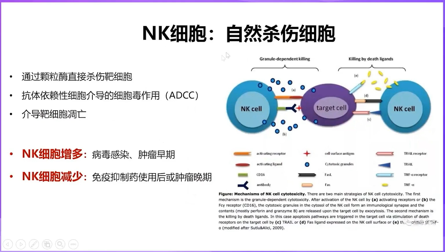 搬砖自用 淋巴细胞亚群解读(数量、表型、功能)