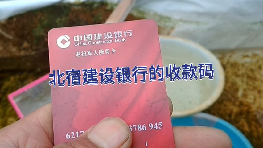 建设银行北宿镇分行,为渔场开办收款码,以及为什么选择建行原因