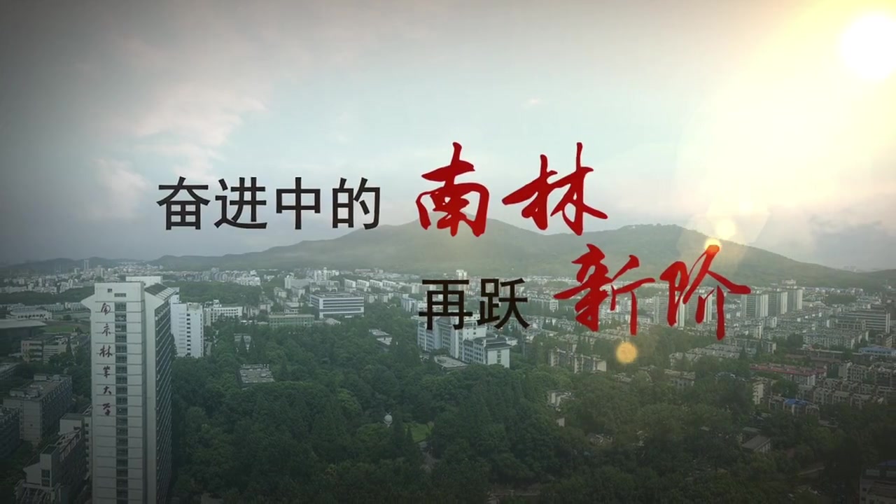 南京林业大学招生宣传片