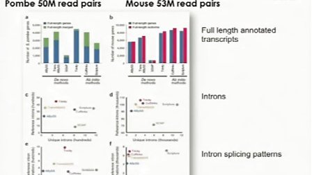 L08-2: 新一代测序技术数据分析 第八讲 RNA-seq III (II)