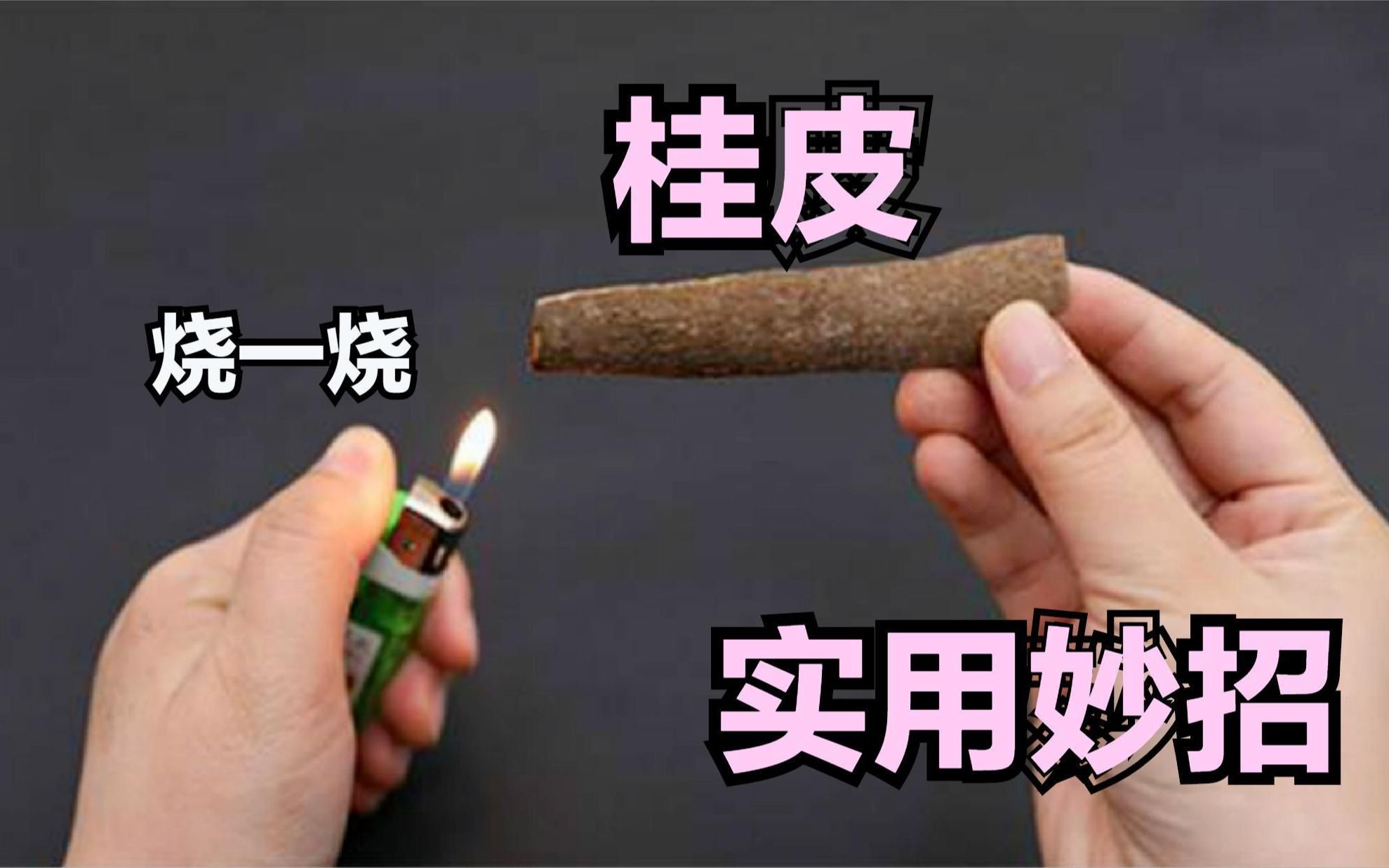 桂皮用火烧1烧,真是历害,解决了家家困扰的大难题,省钱又省事