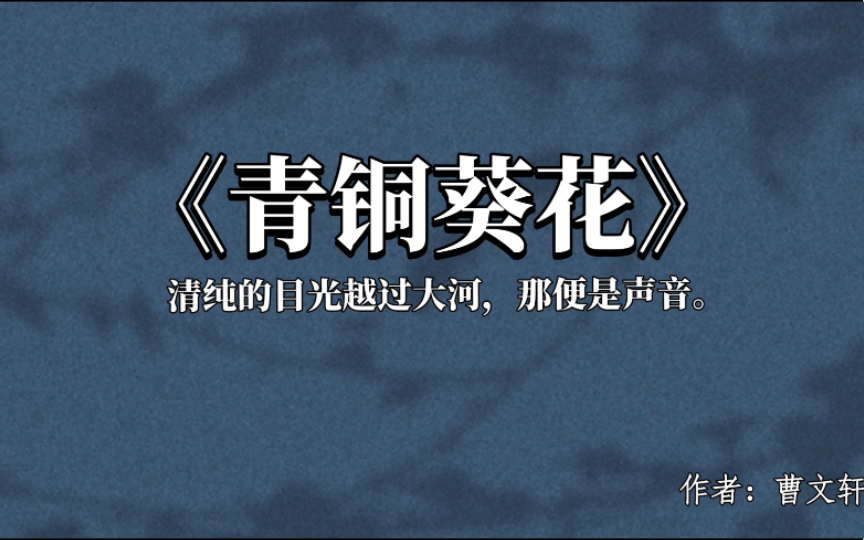 【书摘】“她看不清他的眼睛,却觉得那双眼睛特别的亮,像夜晚天空的...