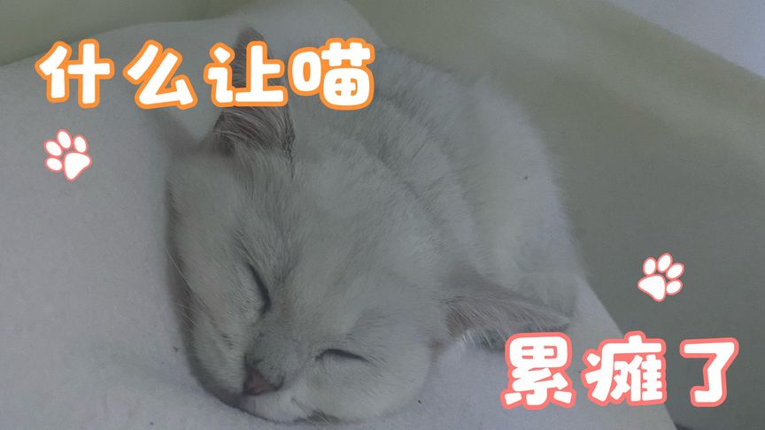 开盘啦,开盘啦,谁能笑到最后?