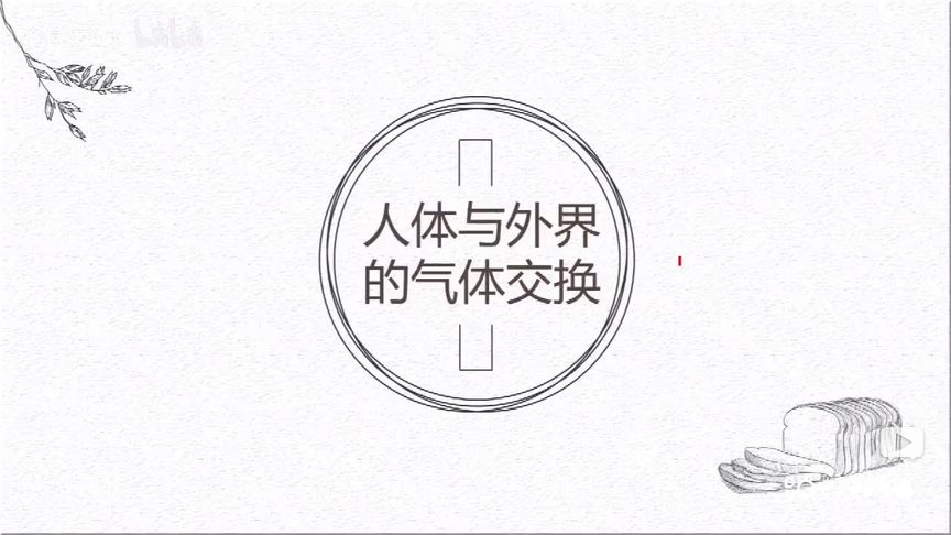 人体与外界的气体交换(济南版七年级生物下册)