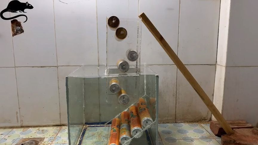 一款利器诞生了,老鼠连续捕鼠神器!这场面太热闹
