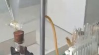 初中化学实验大全:一氧化碳的燃烧