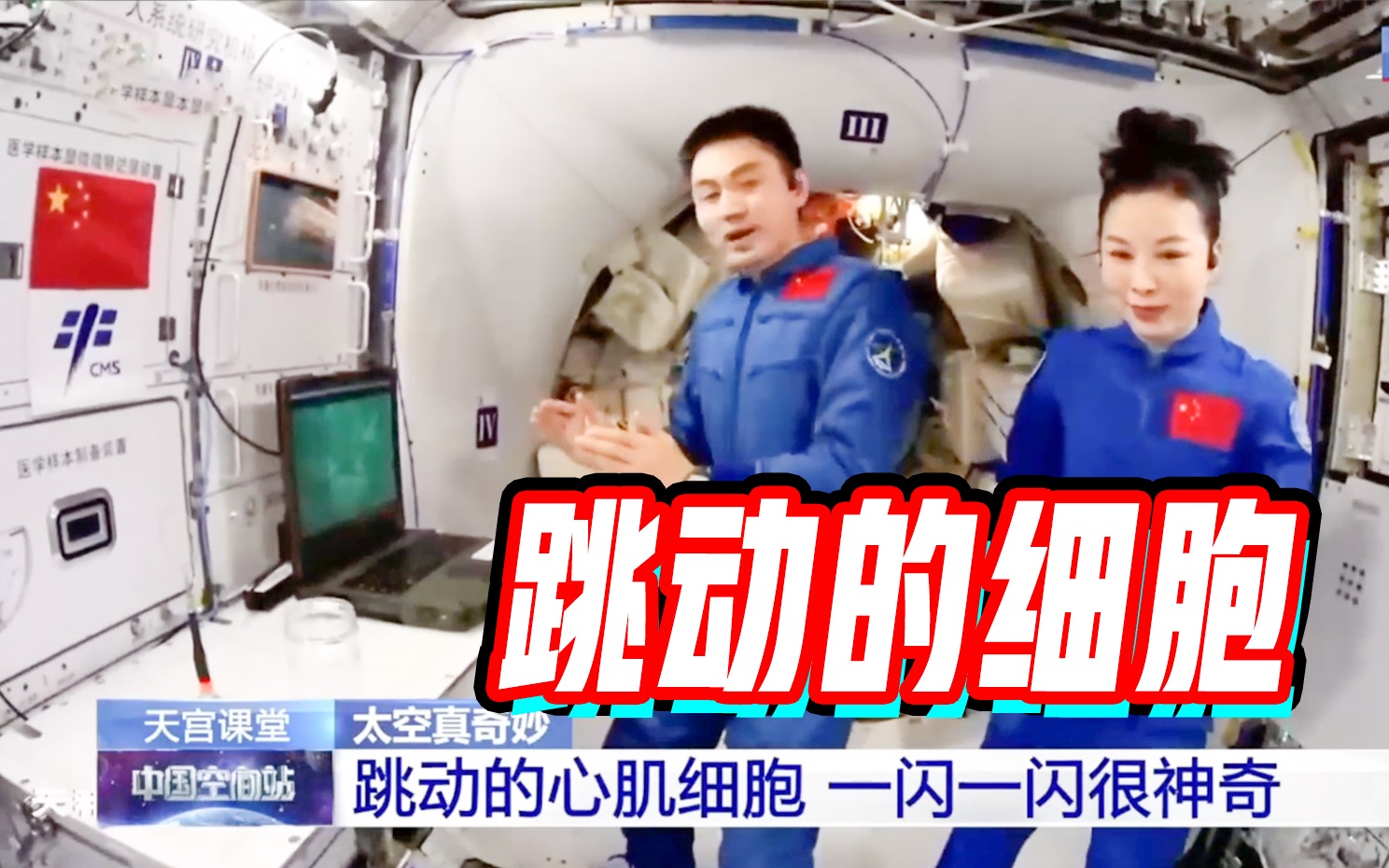 太空里的生物课:细胞研究展示