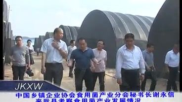 中国乡镇企业协会食用菌产业分会秘书长在交口考察食用菌产业发展