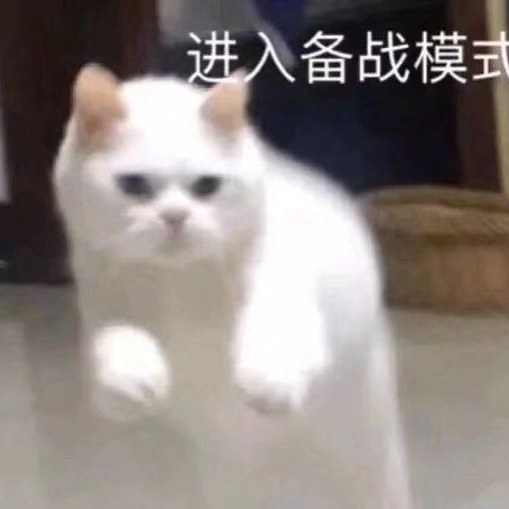 哥特风大兔子 