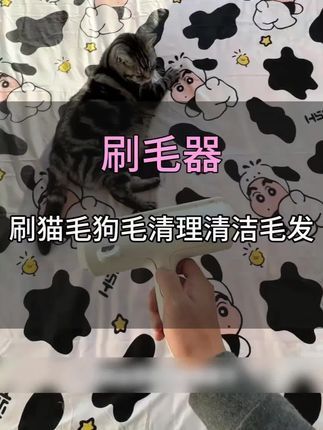 教你一招解决猫毛#好物推荐ߔ� #猫毛解决方案 #养猫