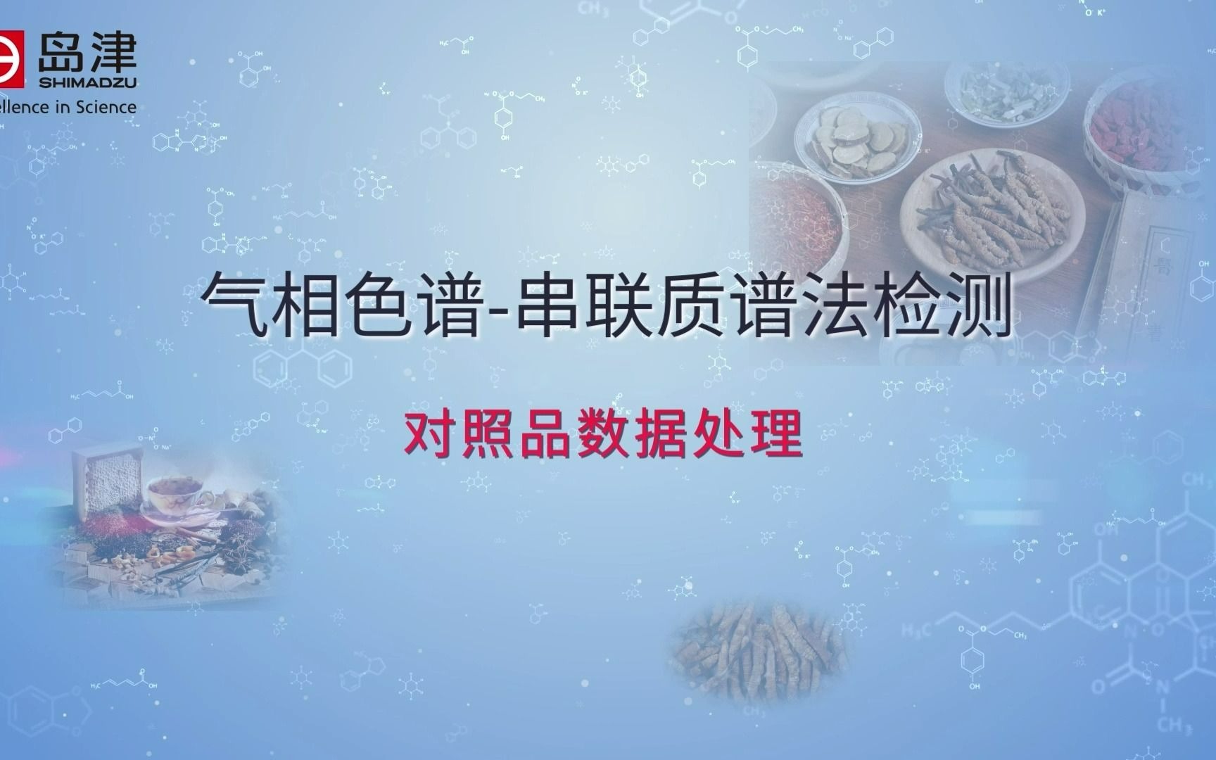 4.GCMSMS数据处理(2020版中国药典岛津药材及饮片(植物类)中33种...