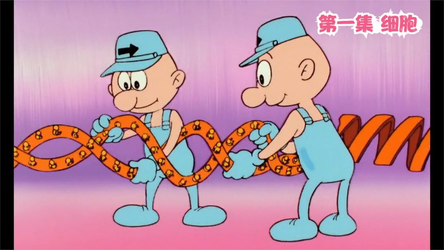 人体奇航 1 细胞-生命的诞生 生命科学 少儿 科普 动画 小学 初中