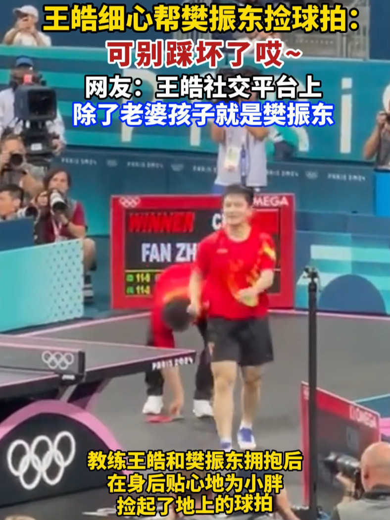 王皓细心帮樊振东捡球拍。你去尽情享受,我永远是你背后的山