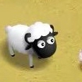 sheep-Li- 