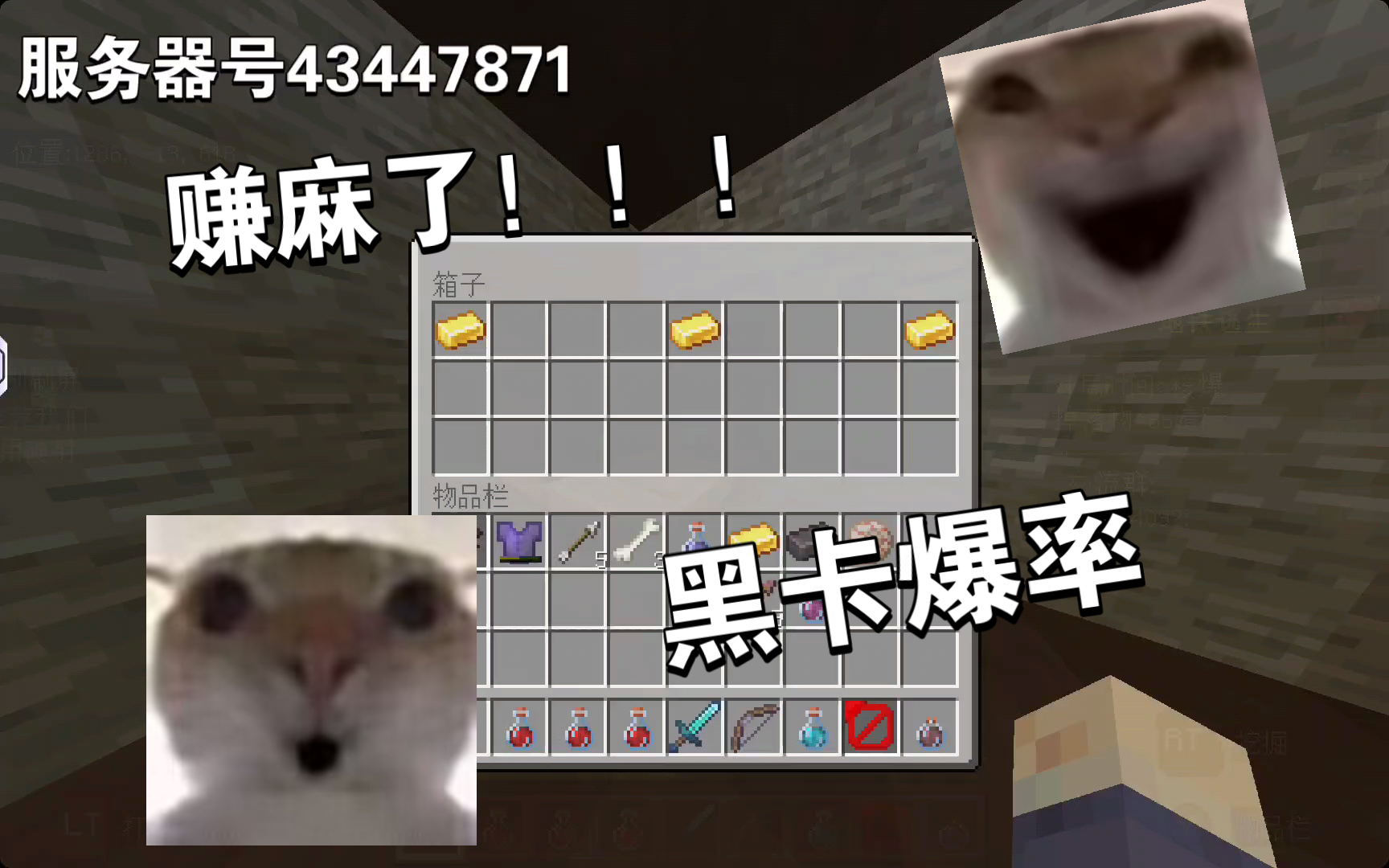 《我的世界》地铁逃生服务器开个黑卡试试,鼠鼠又赚麻了