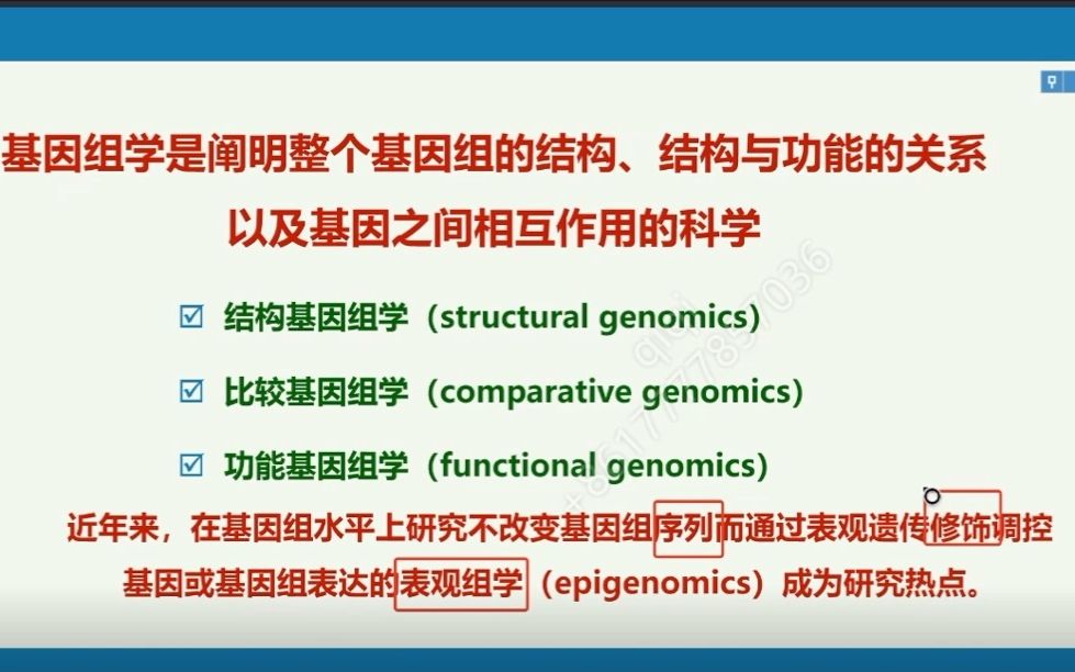 基因组学结构与功能关系的详细介绍