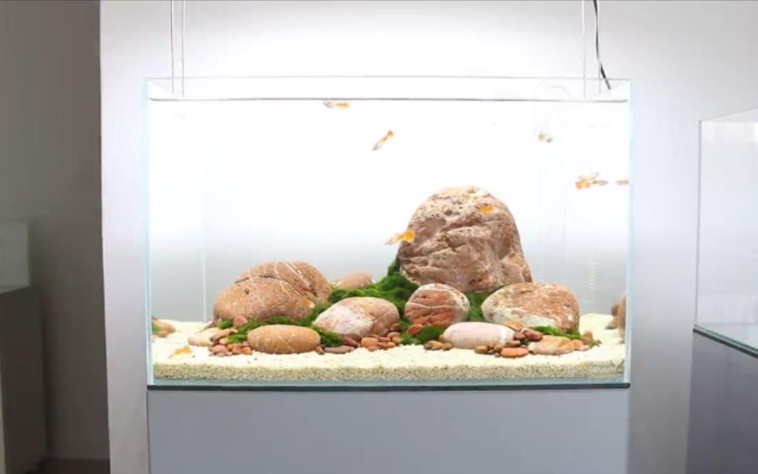 【大师级生态缸】全网最全系列 岩石特效艺术鱼缸 鱼缸造景生态缸...
