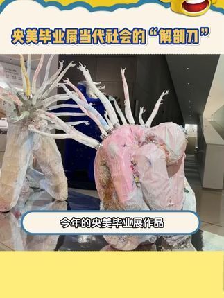 看完央美毕业展才懂:原来艺术真的能撕开现实的遮羞布!#央美 #央美...