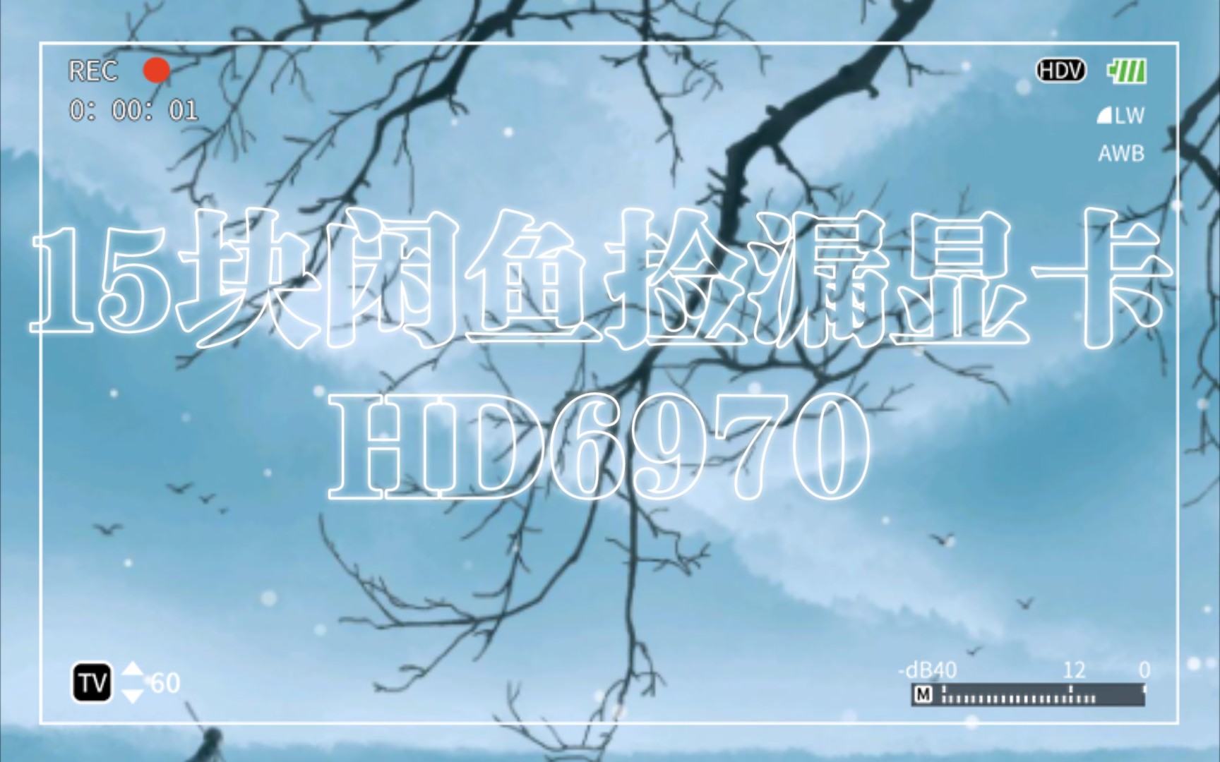 15块闲鱼捡漏显卡HD6970,附鲁大师跑分,甜甜圈测试
