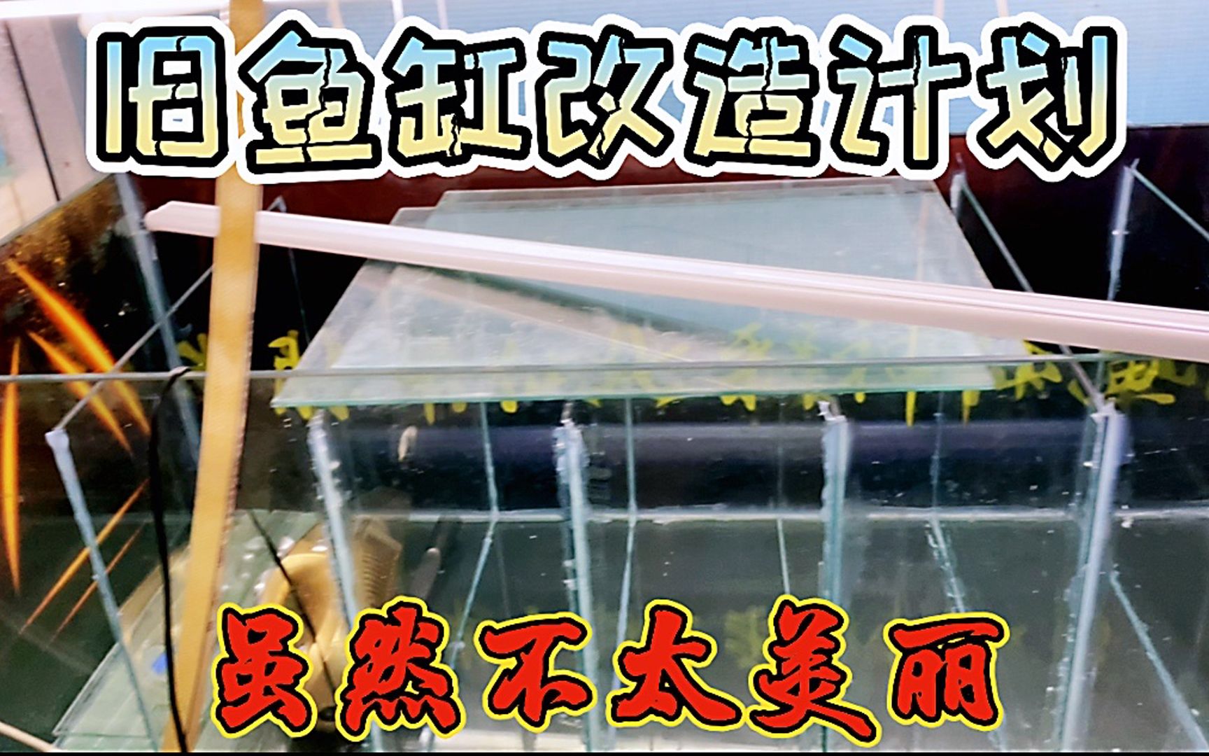 今天开始旧鱼缸改造玻璃店都关门了没办法用旧玻璃凑合一下吧