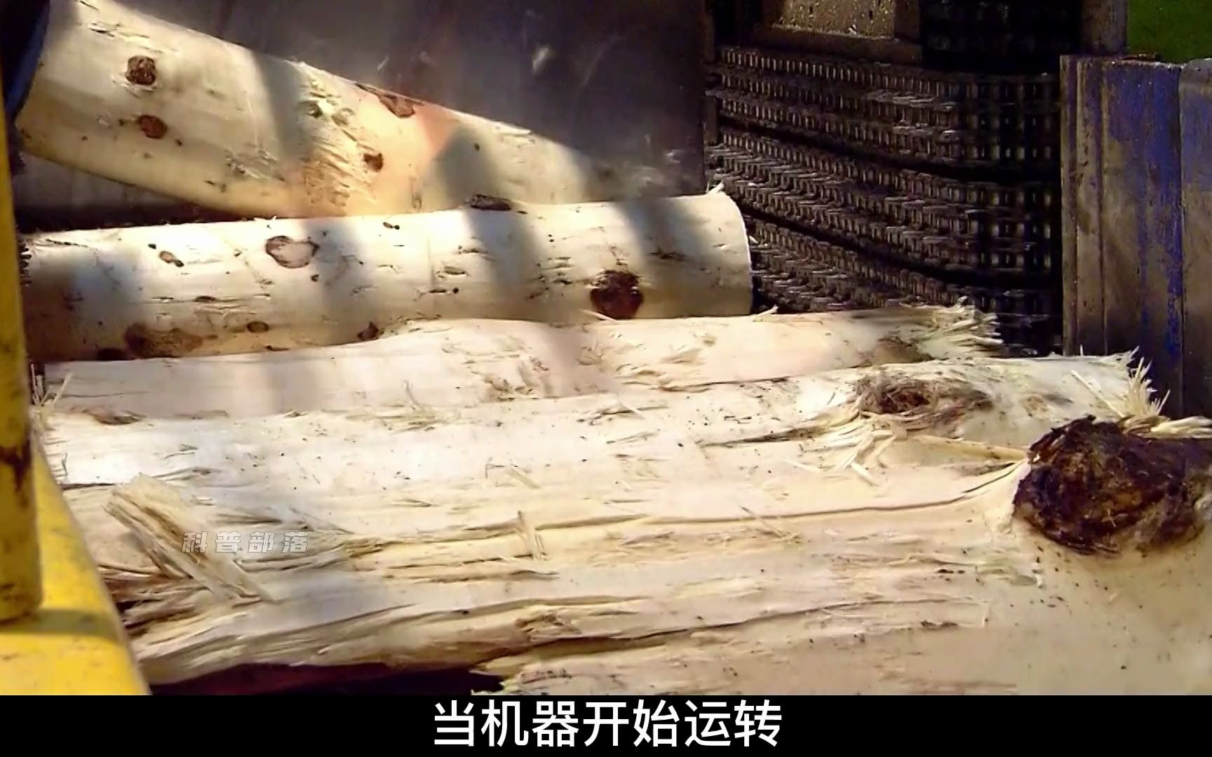 探访刨花板工厂,2分钟带你了解从木材到刨花板的加工全过程