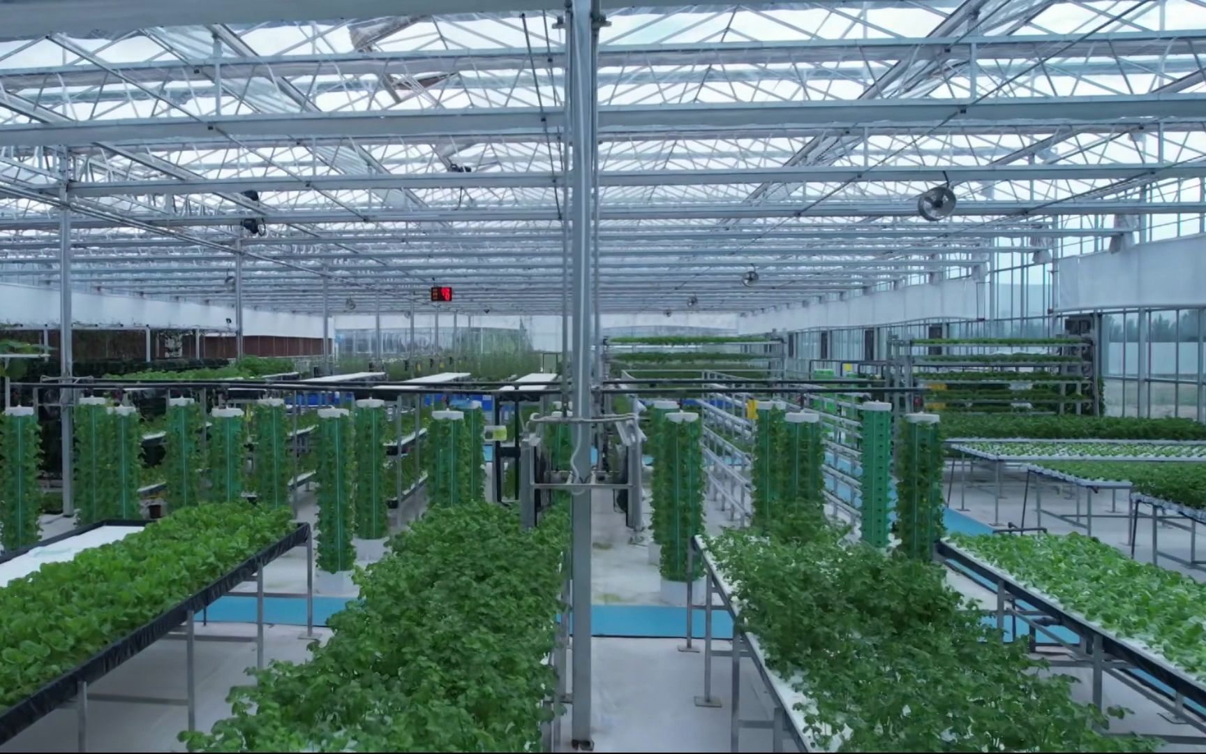 这种智能温室无土栽培种植在农村算什么水平
