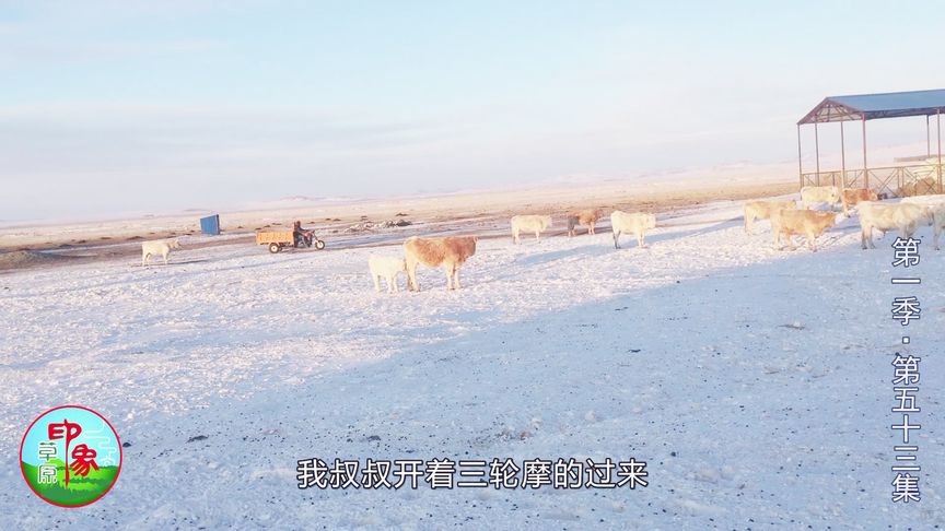 印象草原:草原的美景如诗如画!生活在这里谁还愿意离开?
