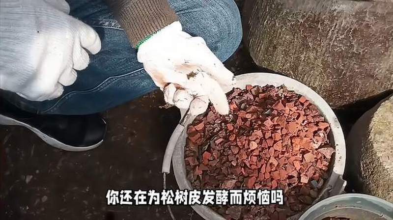 松树皮发酵最简单的方法
